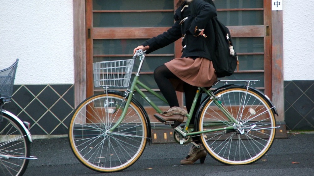 japanese bicycles brands