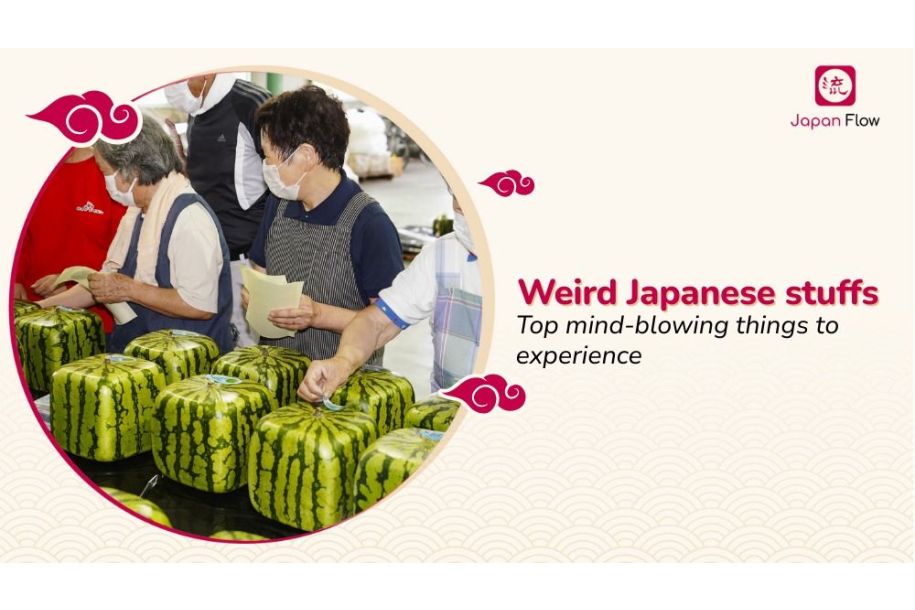 weird japanese stuff