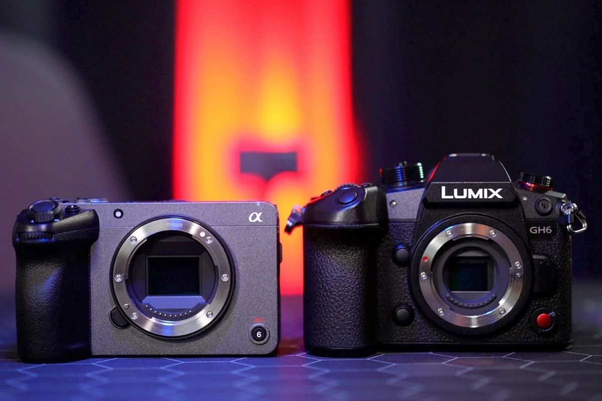 Sony and Panasonic are the best choices for professional videography