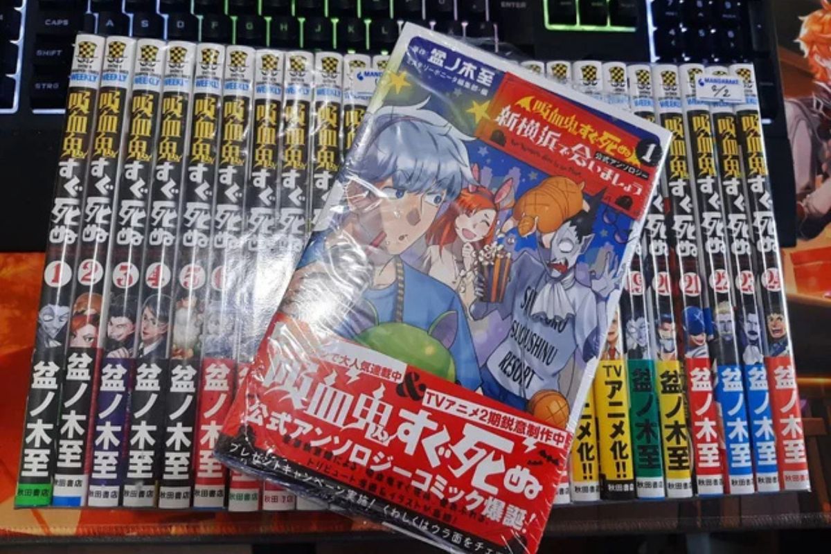 Doujinshi is one of the main items you can buy in the Mandarake store